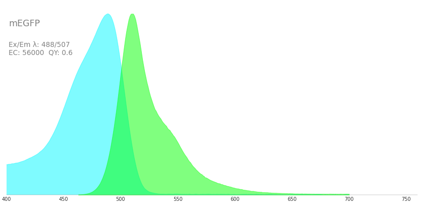 mEGFP :: Fluorescent Protein Database