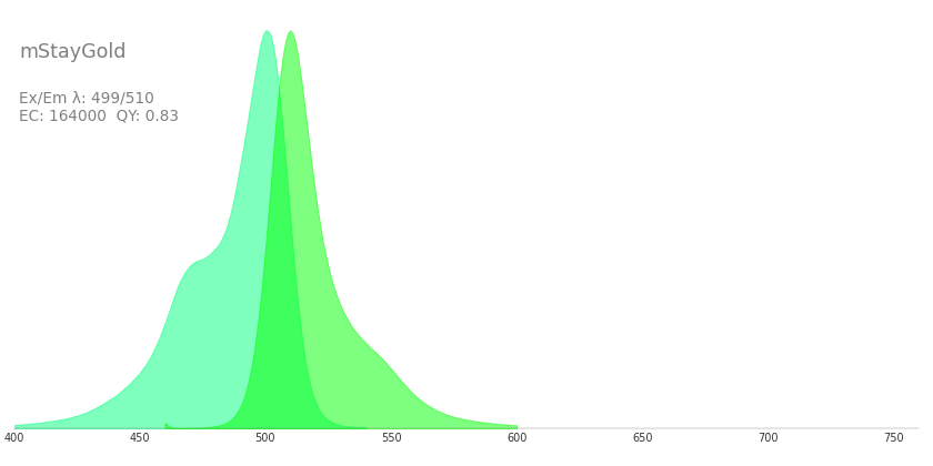 mStayGold :: Fluorescent Protein Database