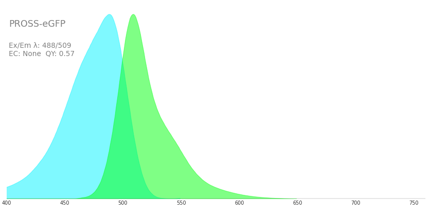 PROSS-eGFP :: Fluorescent Protein Database