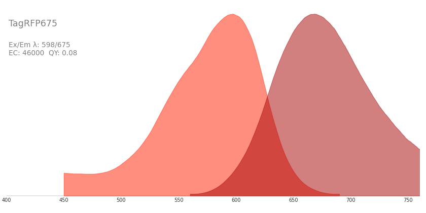 TagRFP675 :: Fluorescent Protein Database