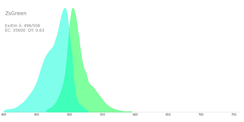 ZsGreen :: Fluorescent Protein Database