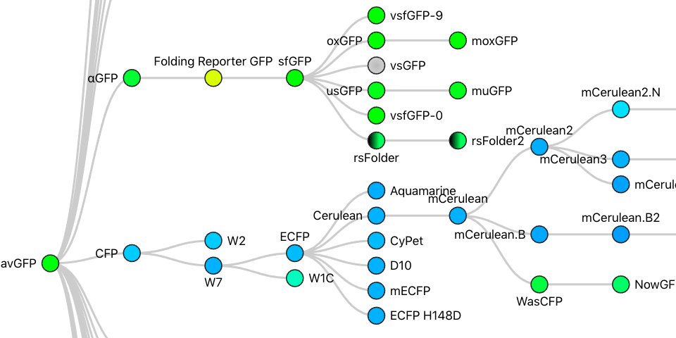 Fluorescent Protein Lineages at FPbase